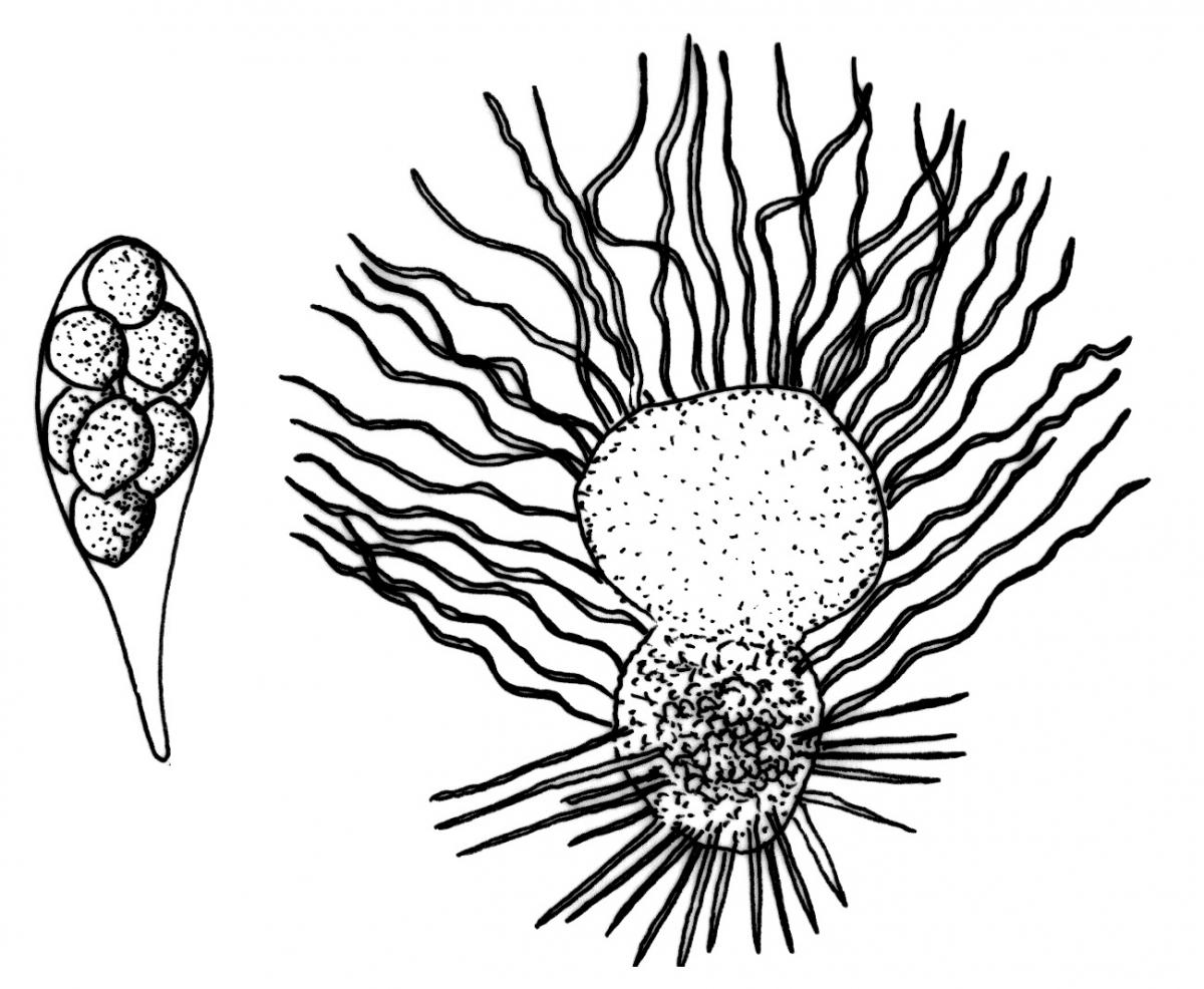 George Strait Coloring Pages Coloring Pages